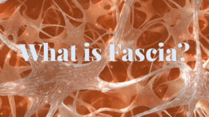 What Does it Mean to “Melt” Fascia - Block Therapy