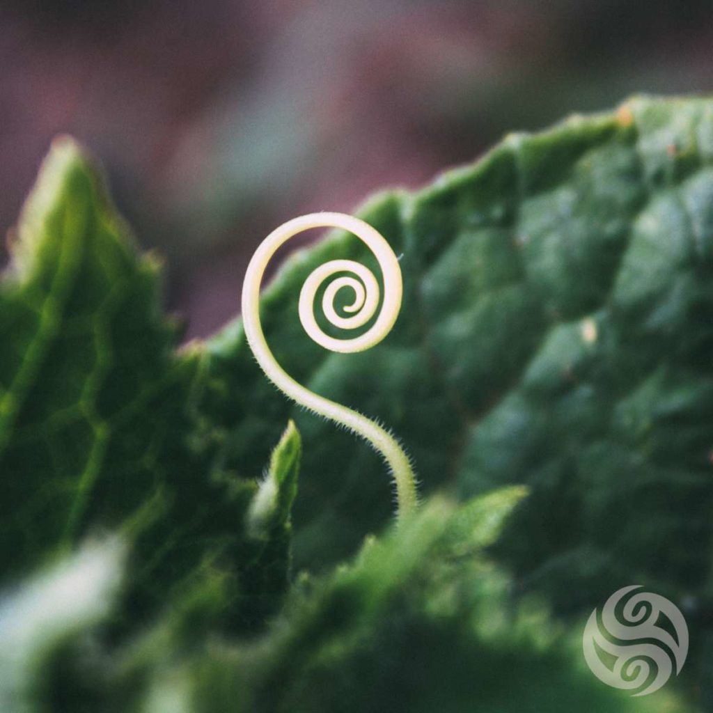 Hair Health - Block Therapy