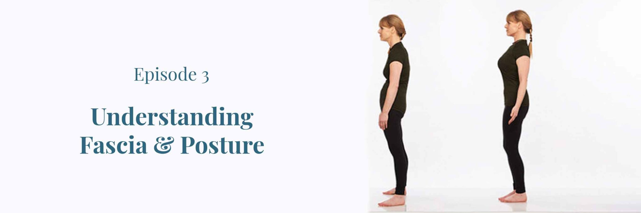 Understanding Fascia & Posture | The Fascia Masters, Episode 3 - Block ...