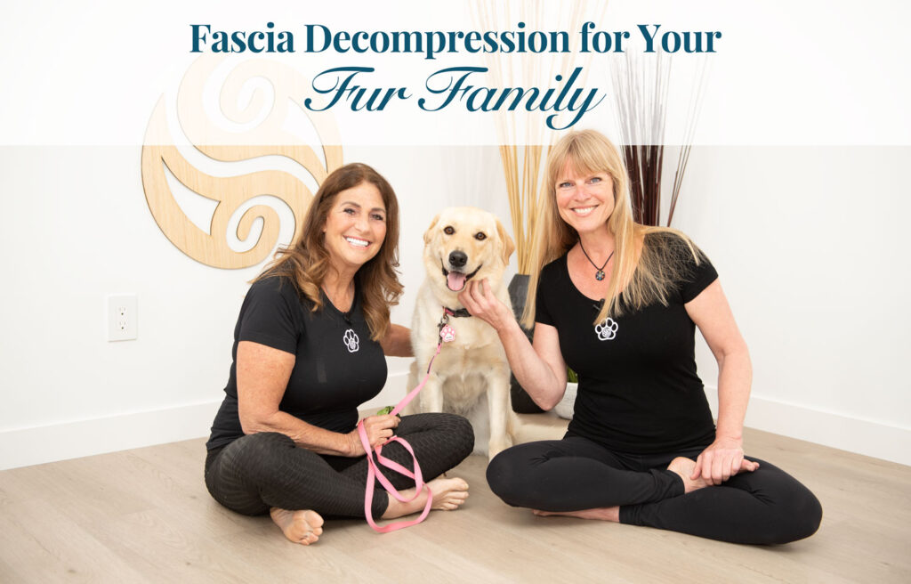 Fascia Decompression for Your Fur Family | Block Therapy