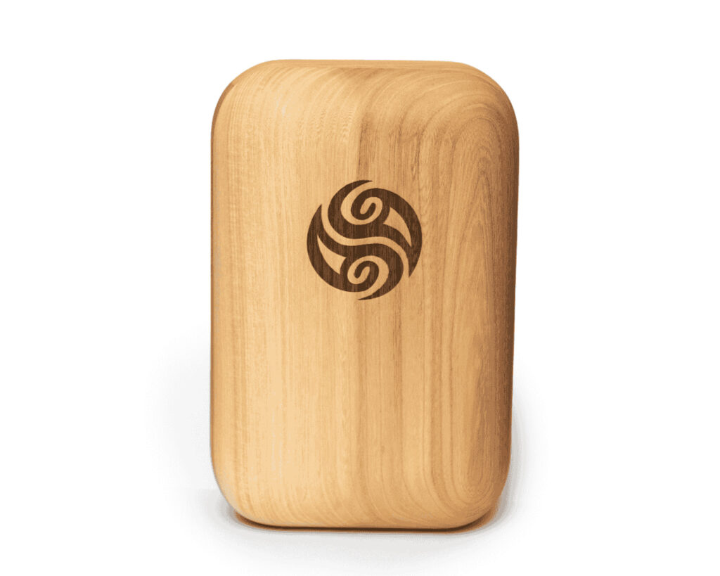 Block Therapy STARTER Kit - Block Therapy